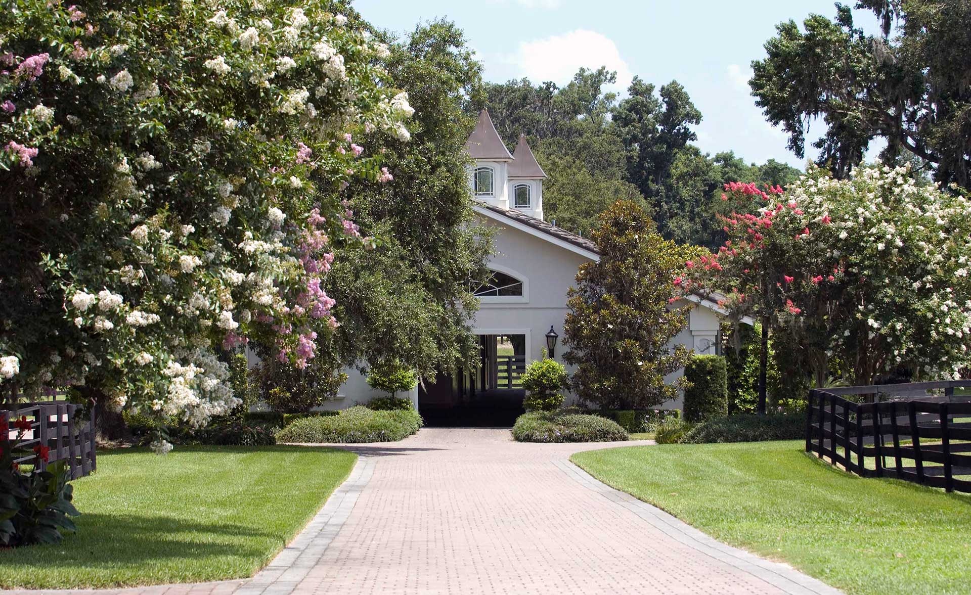 Chasing the Chill: When Does Florida Cool Down?